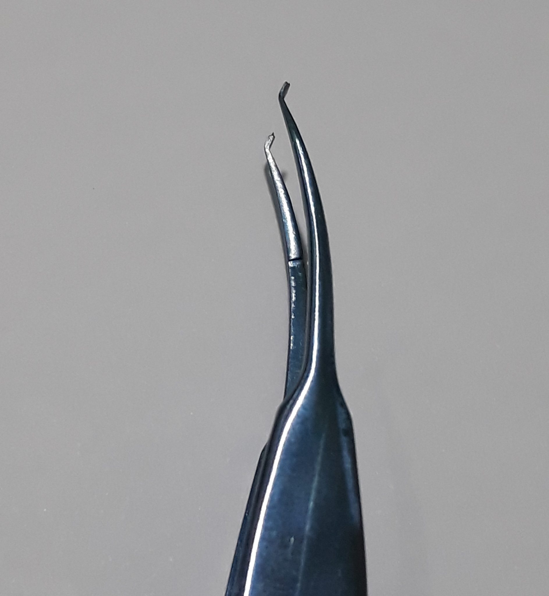 Pinça Colibrí Titãnio - Argos Instrumental Cirurgico Oftalmológico